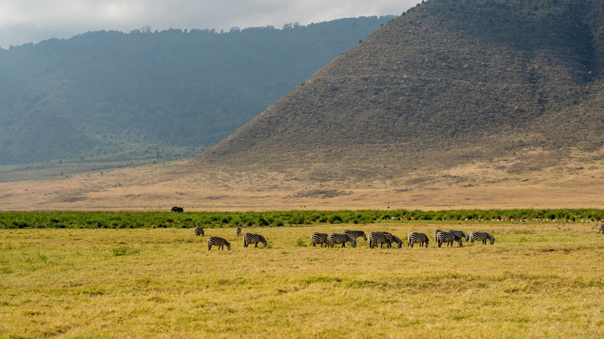 Safari en Tanzanie : découvrez la vallée du rift – Le petit Bordelais